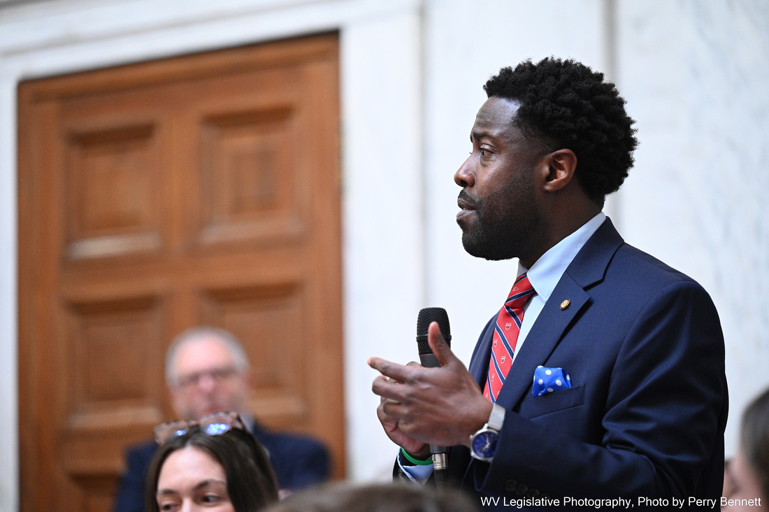 Amendment removing systemic racism reference in bill causes House drama ...